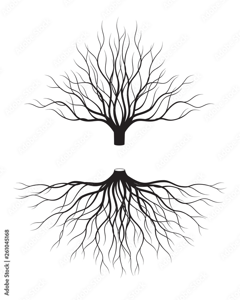 Black Tree with Roots on transparent background. Vector Illustration ...