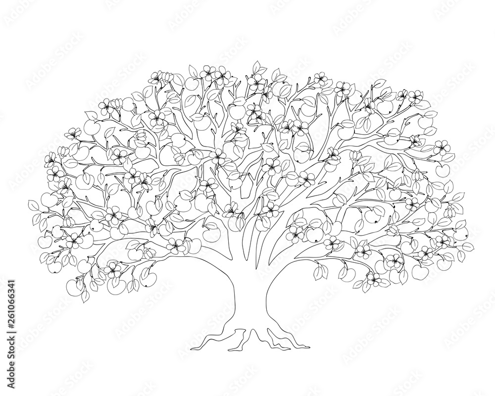 Apple Tree Outline