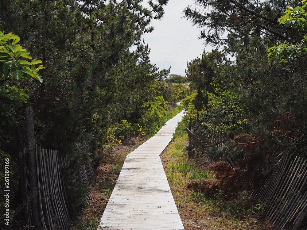 boardwalk path leading to a beach in a salty coastal town in the United ...