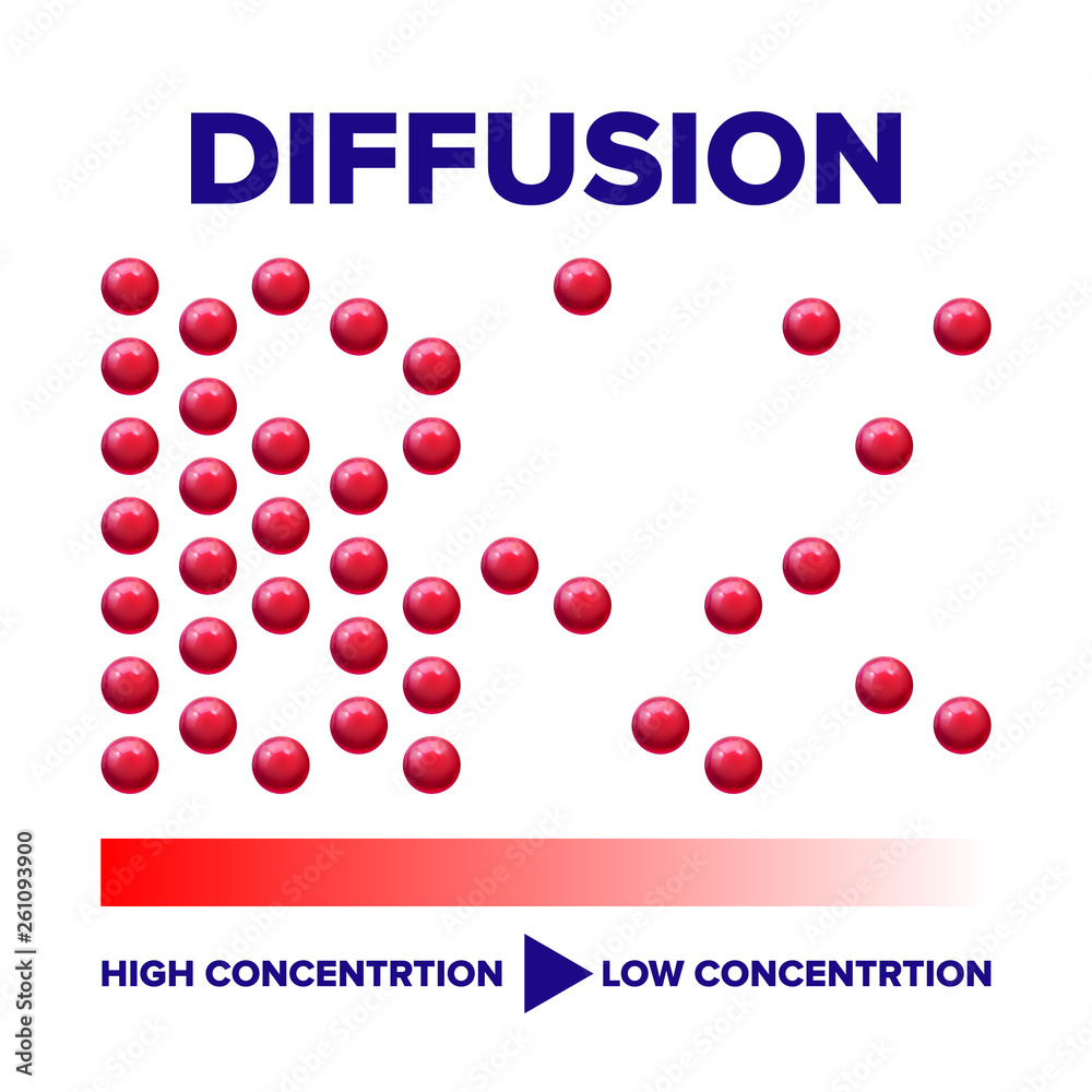 Diffusion Physics Process Vector Info Poster Template. High, Low ... Diffusion Physics Process Vector Info Poster Template. High, Low ...