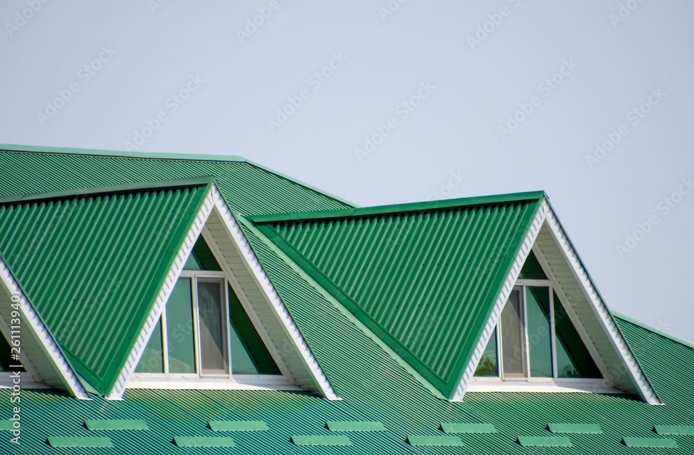 The house with plastic windows and a green roof of corrugated sheet ...