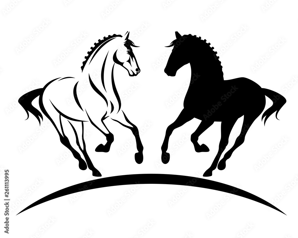 beautiful thoroughbred horse with braided mane black and white vector ...