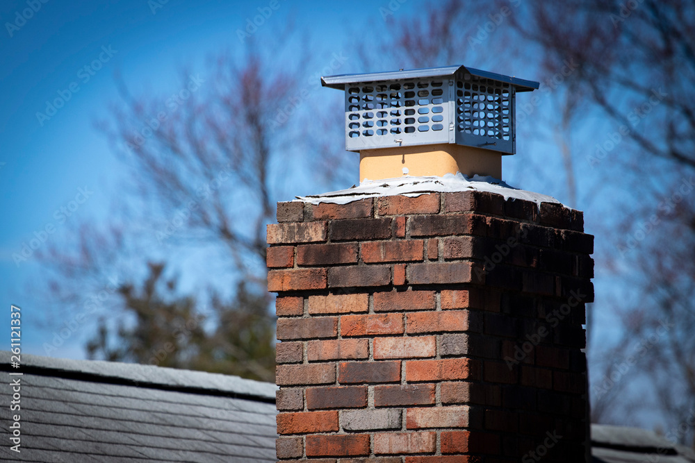 Chimney cap installed to prevent rodent entry to home/attic/building ...