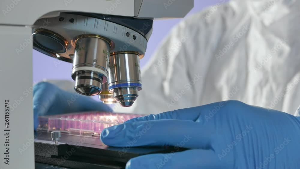 Researching vaccine to novel coronavirus 2019-nCoV. Scientist ...