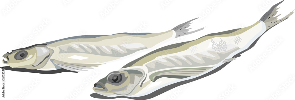 dried fish Stock Vector | Adobe Stock
