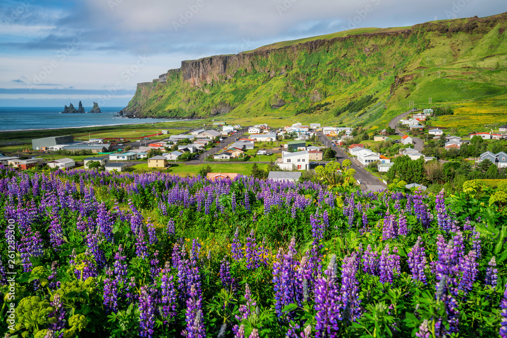 Foto de Beautiful town of Vik i Myrdal in Iceland in summer. The ...