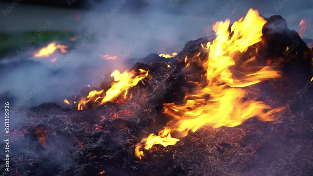 water,firewood,danger,flame,bonfire,campfire,climate,dark,destruction ...