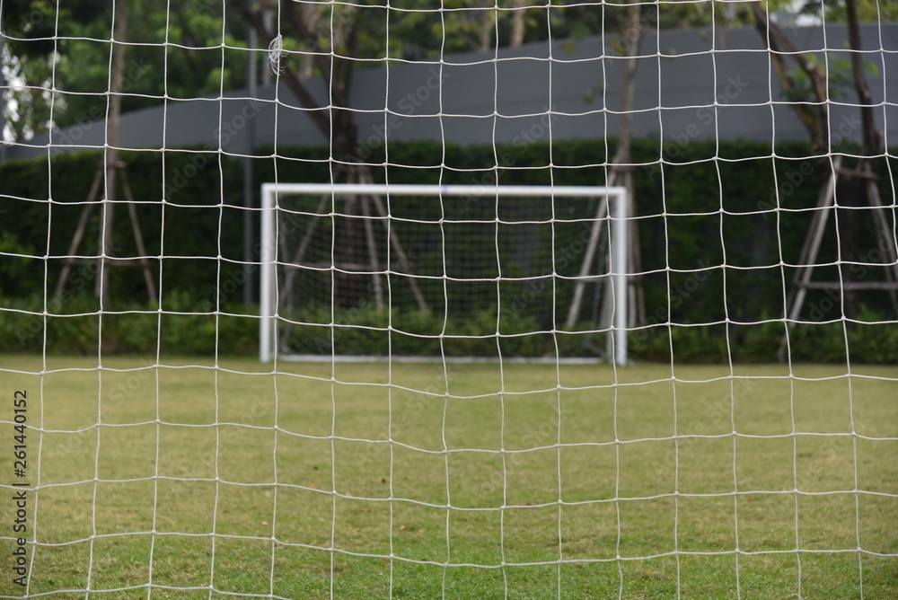 Football /soccer goal gate with net and green lawn grass background in ...