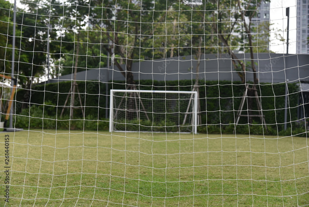 Football /soccer goal gate with net and green lawn grass background in ...