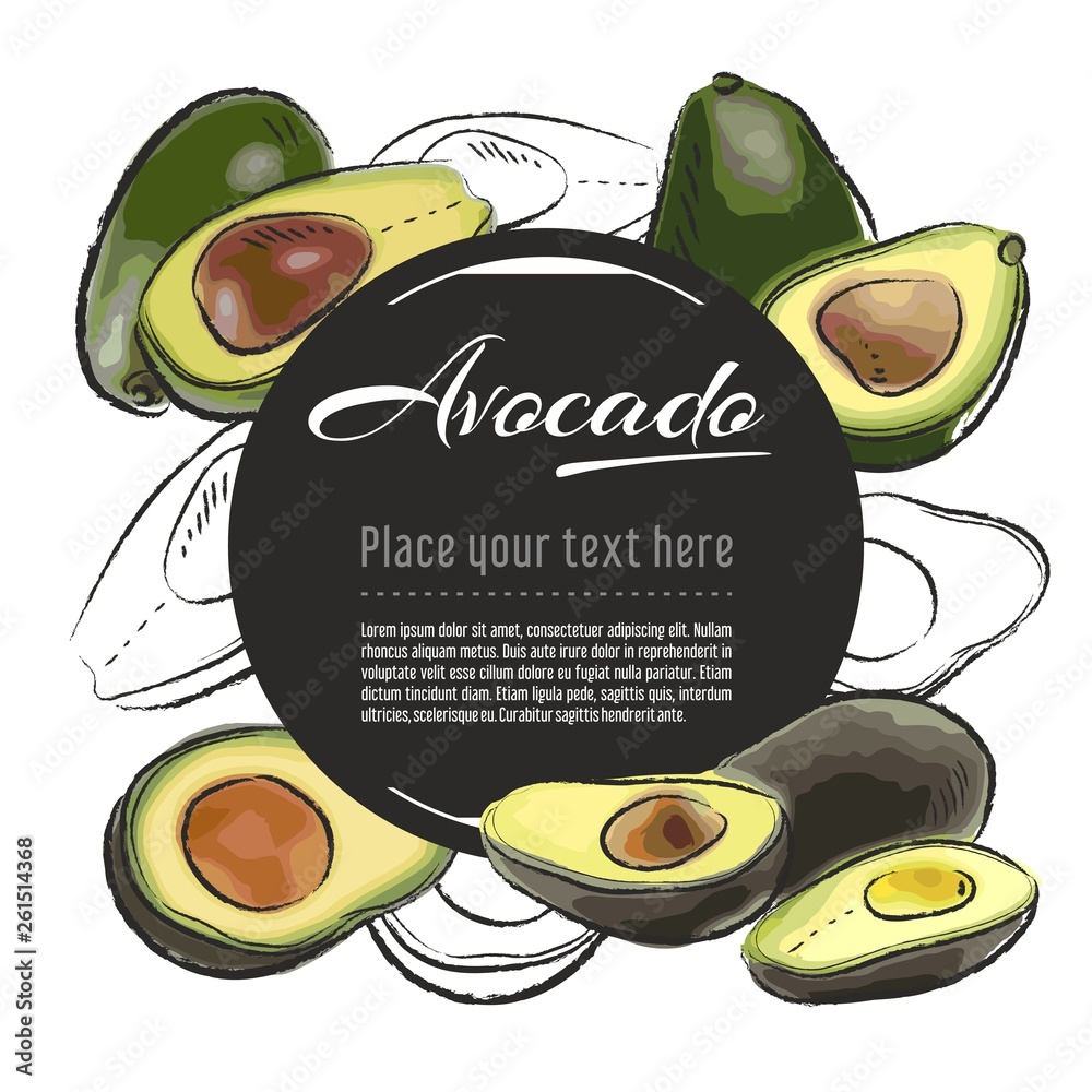 Vector sketch Avocado banner on white background. With place for text ...
