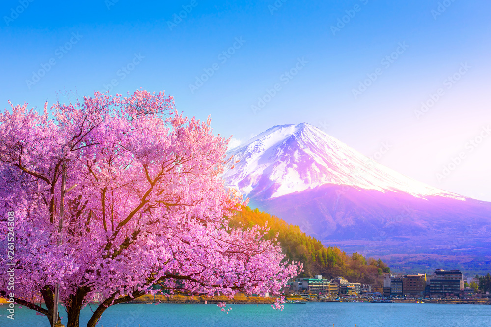 Mount Fuji and cherry blossoms which are viewed from lake Kawaguchiko, Yamanashi, Japan. foto de ...