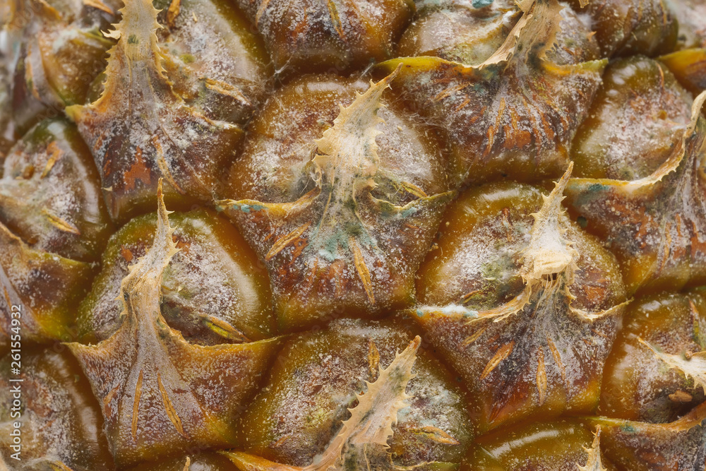 Texture of pineapple with mold. White and blue fungus with mold on the surface of pineapple. A ...