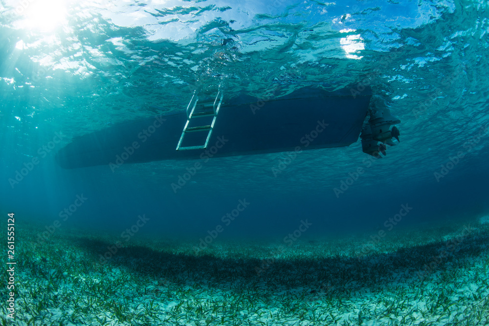 A small dive boat floats above a shallow, seagrass-covered seafloor in ...