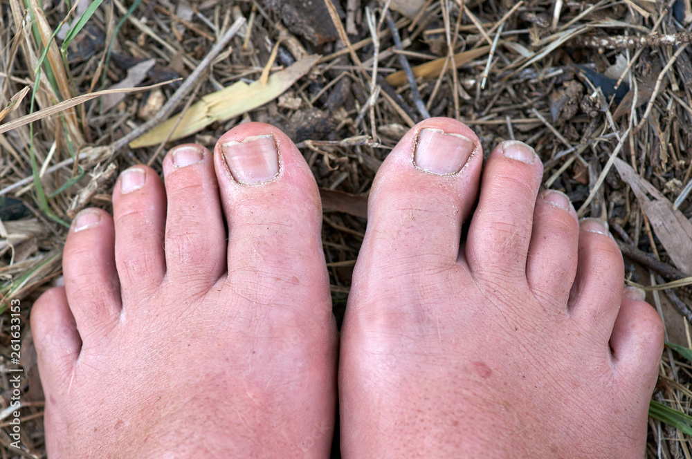 A pair of male caucasian feet together on the ground - the front half ...