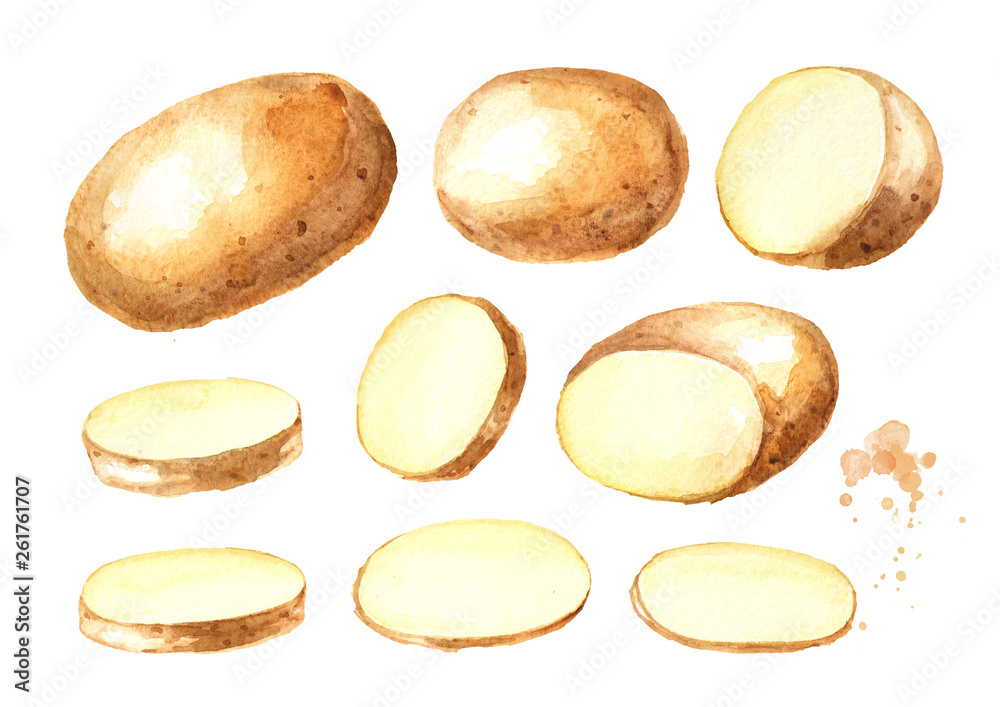 Cut raw potatoes vegetables set. Watercolor hand drawn illustration ...