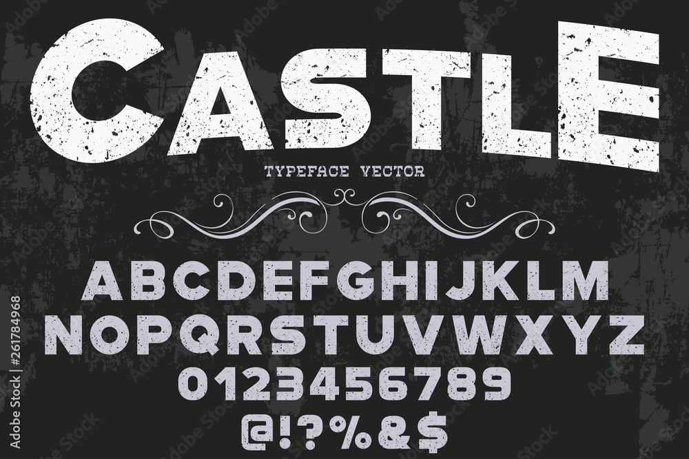 Script Font Typeface vintage script font Vector typeface for labels and ...