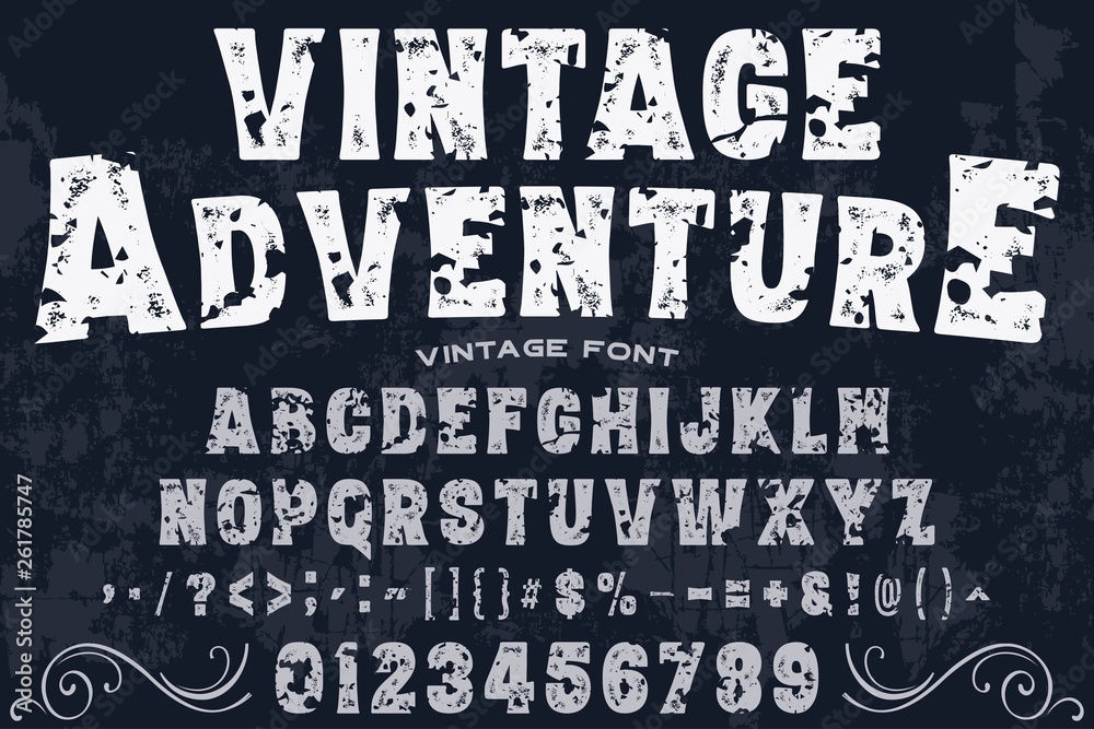 Script Font Typeface vintage script font Vector typeface for labels and ...