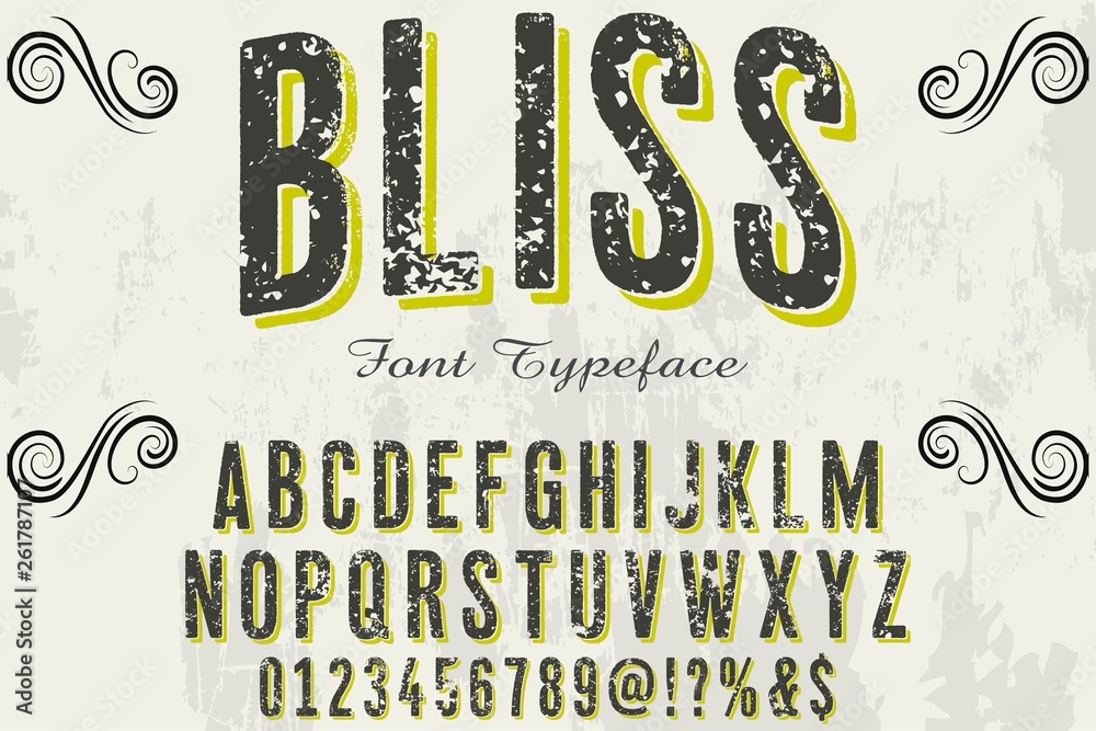 Font Script Typeface vintage script font Vector typeface for labels and ...
