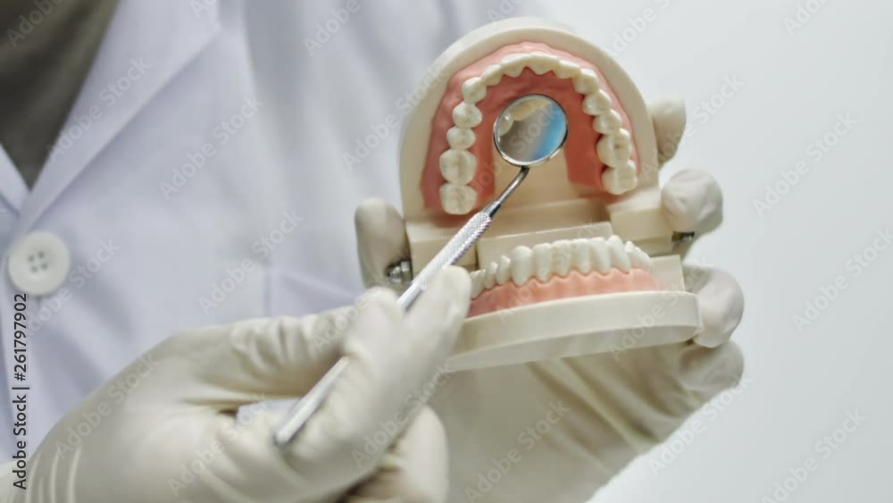 Dentist showing to the camera how to use a tool. Dentist showing jaw ...