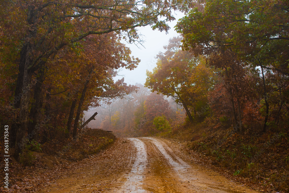 Country Dirt Road In The Fall