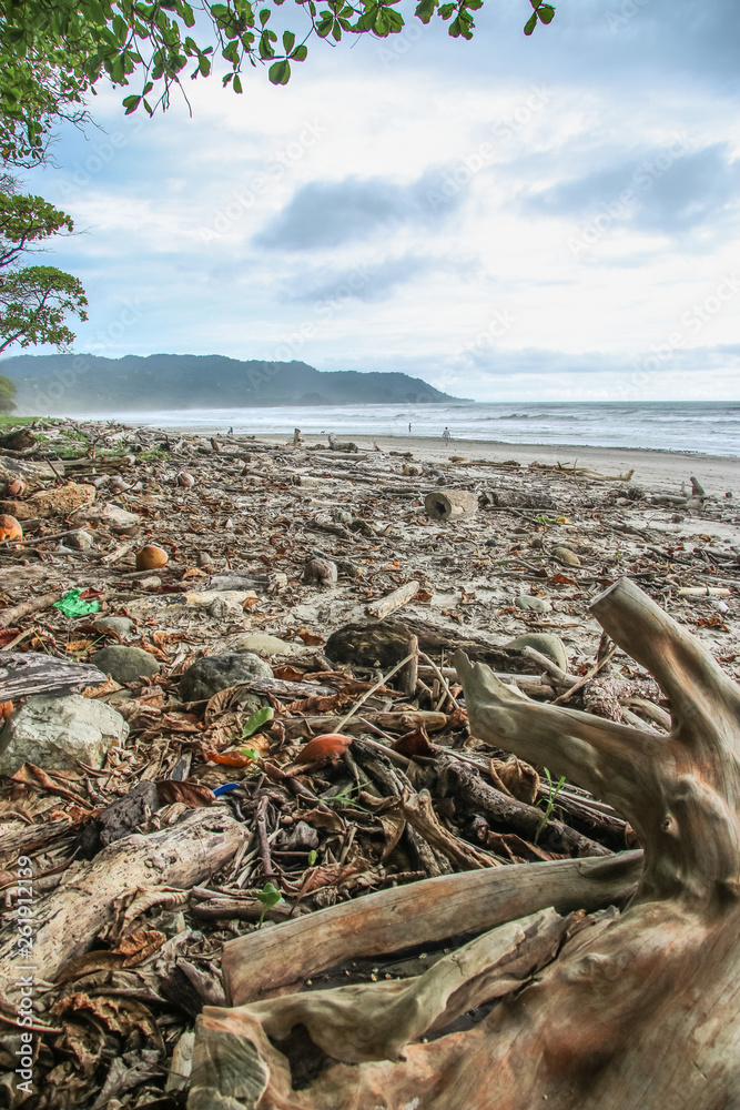 Pollution sur une plage du Costa Rica après de grosse pluies, les ...