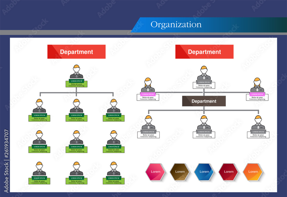 Organization Chart Infographics Stock Vector | Adobe Stock