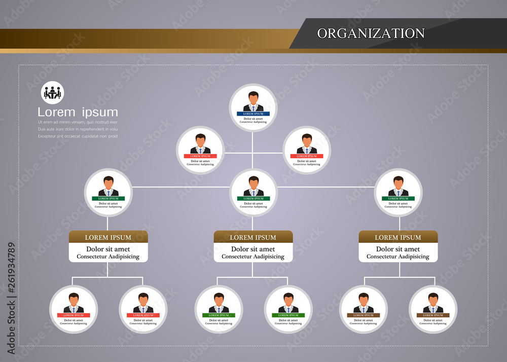 Vetor de Organization Chart Infographics do Stock | Adobe Stock