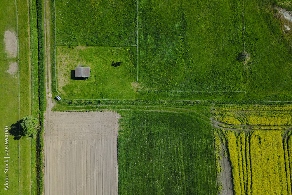 Field and meadow from above in summer Stock Photo | Adobe Stock
