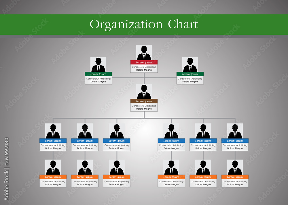 Organization Chart Infographics with People Icon and Abstract Line ...