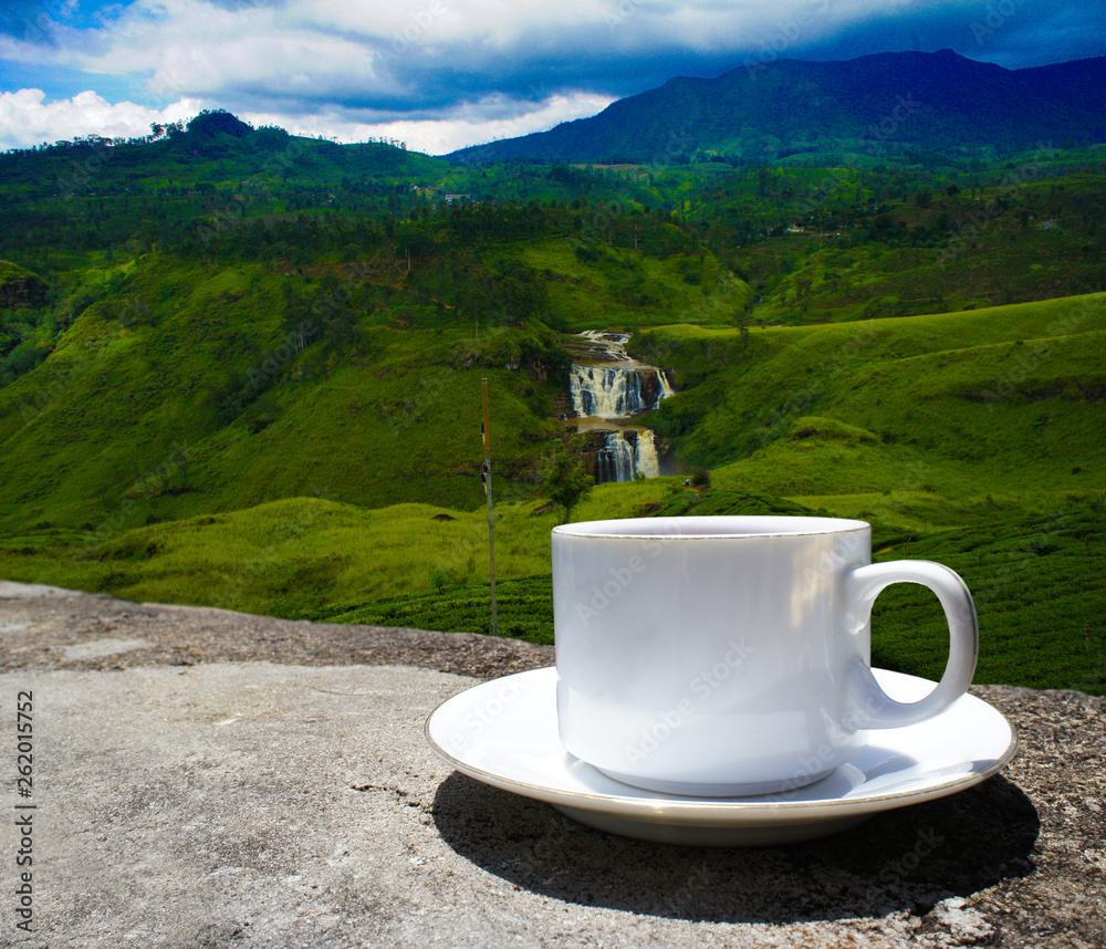 Sri Lanka tea hills. Tea cup and plantation. Stock Photo | Adobe Stock