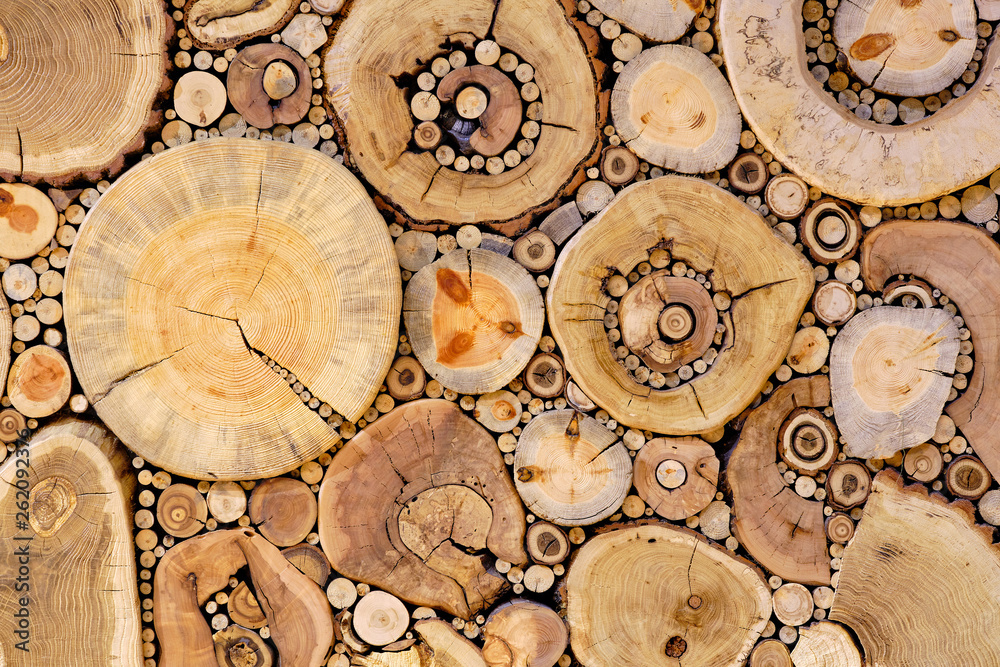 decorative structured wall mural made from sections of tree trunks and ...
