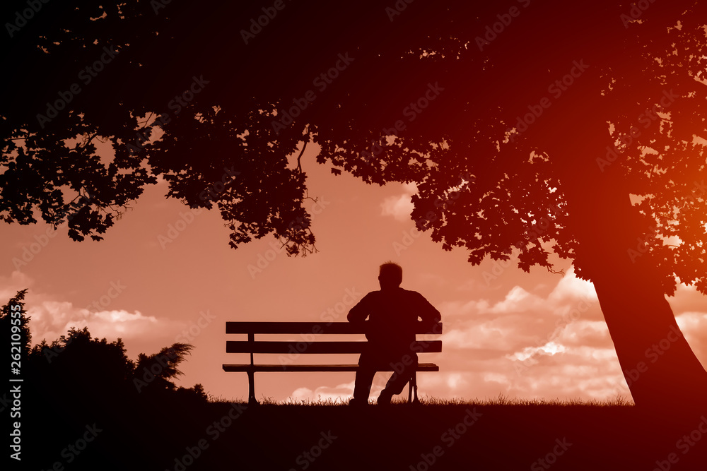 old man sitting alone on park bench under tree; Stock Photo | Adobe Stock
