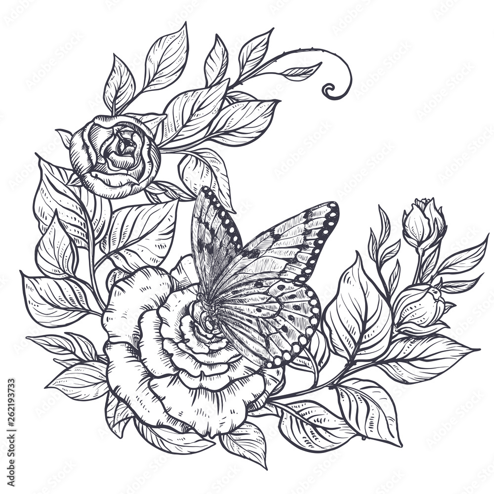 Butterfly On A Rose Drawing