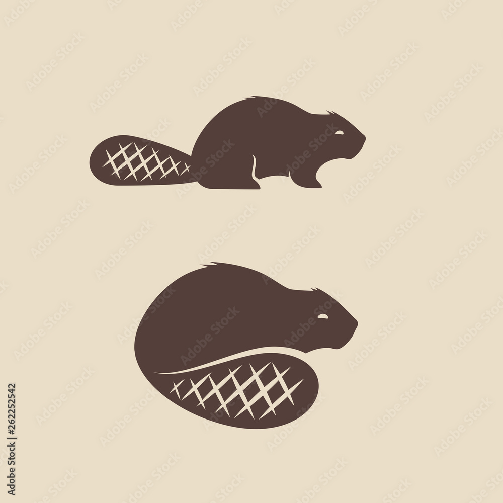 Beaver animal icon vector illustration Stock Vector | Adobe Stock