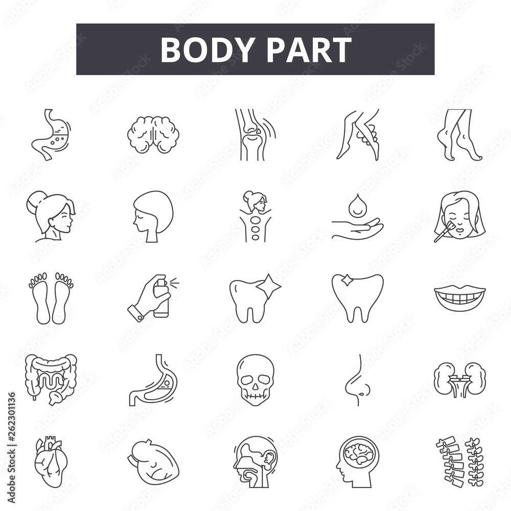 Body part line icons, signs set, vector. Body part outline concept ...