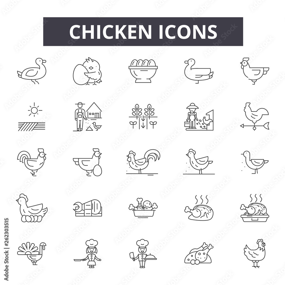 Chicken line icons, signs set, vector. Chicken outline concept ...
