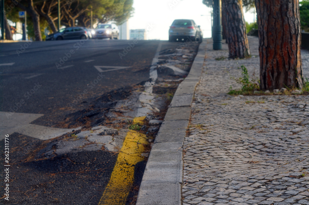Broken up & Damaged Asphalt Road from Tree Roots Under Surface Bulging ...