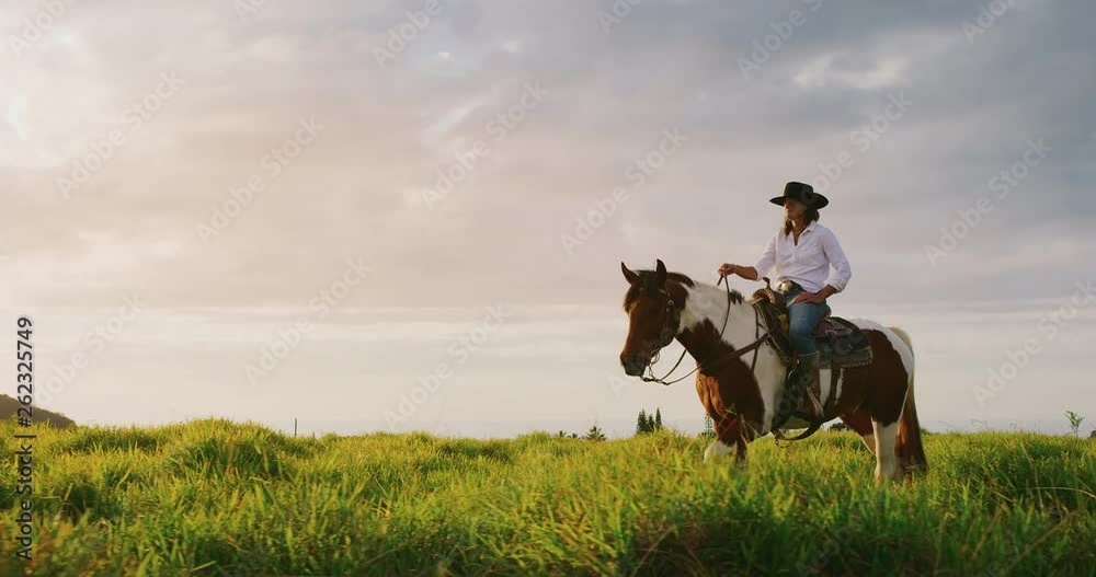 Cowgirl horseback riding at sunset in green field, majestic horse ...