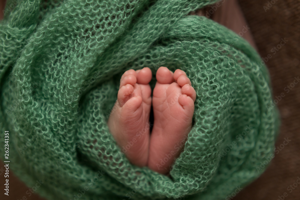 newborn child. baby legs. the legs of the newborn. legs on green ...