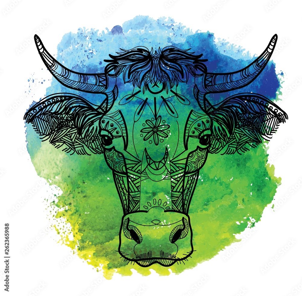 The cow's head. A cow with big horns and fluffy ears. Drawing manually ...