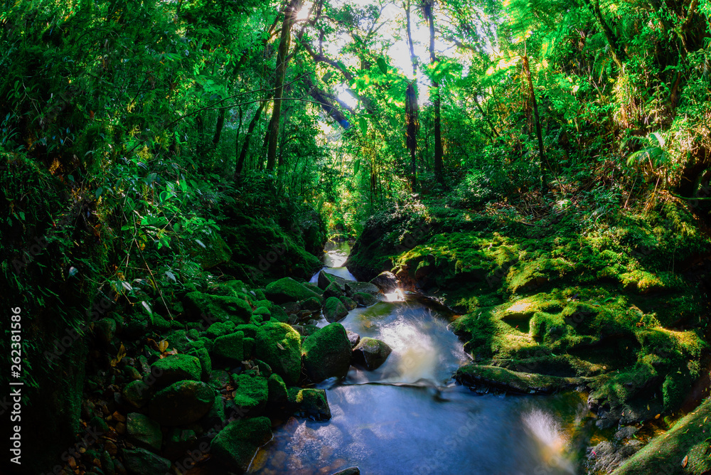 natureza Stock Photo | Adobe Stock