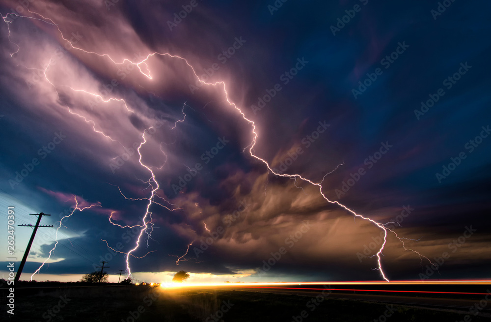 Lightning Dog Stock Photo | Adobe Stock
