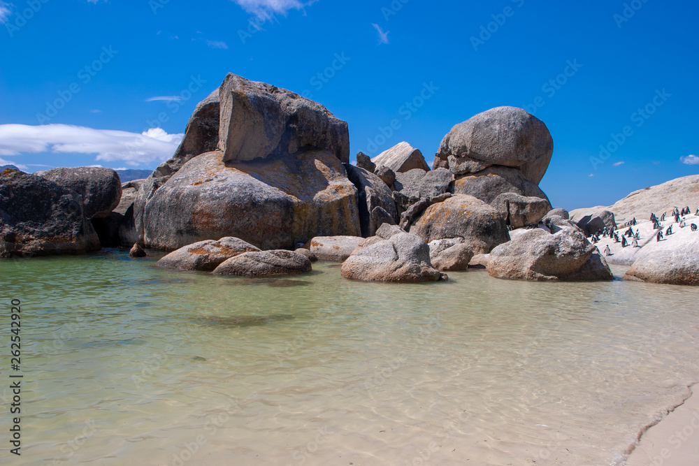 bolder beach cape town parks and reserves of south africa Stock Photo ...