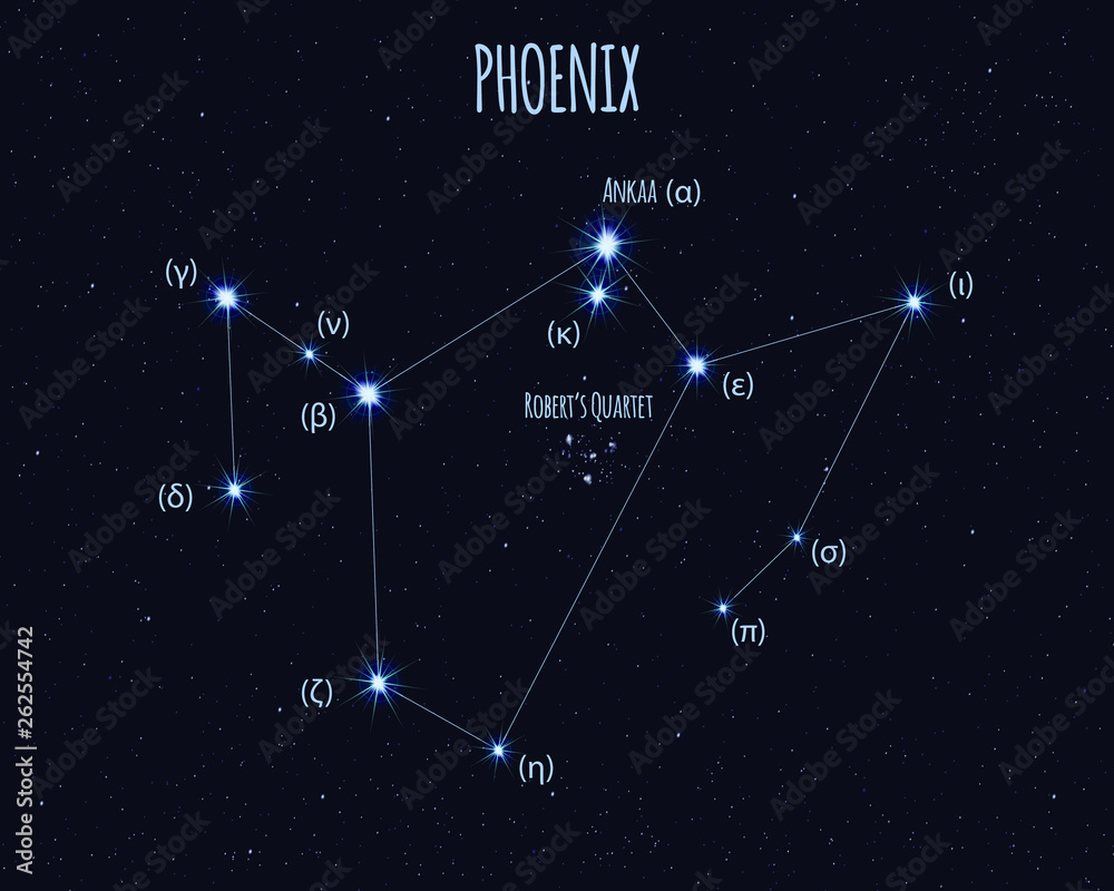 Phoenix constellation, vector illustration with the names of basic ...