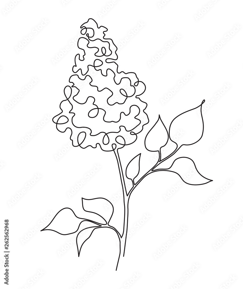 monochrome lilac illustration. Continuous line art. Stock Vector ...
