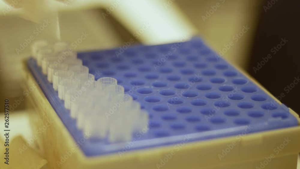 Shots filmed in a biomedical research laboratory during a real ...