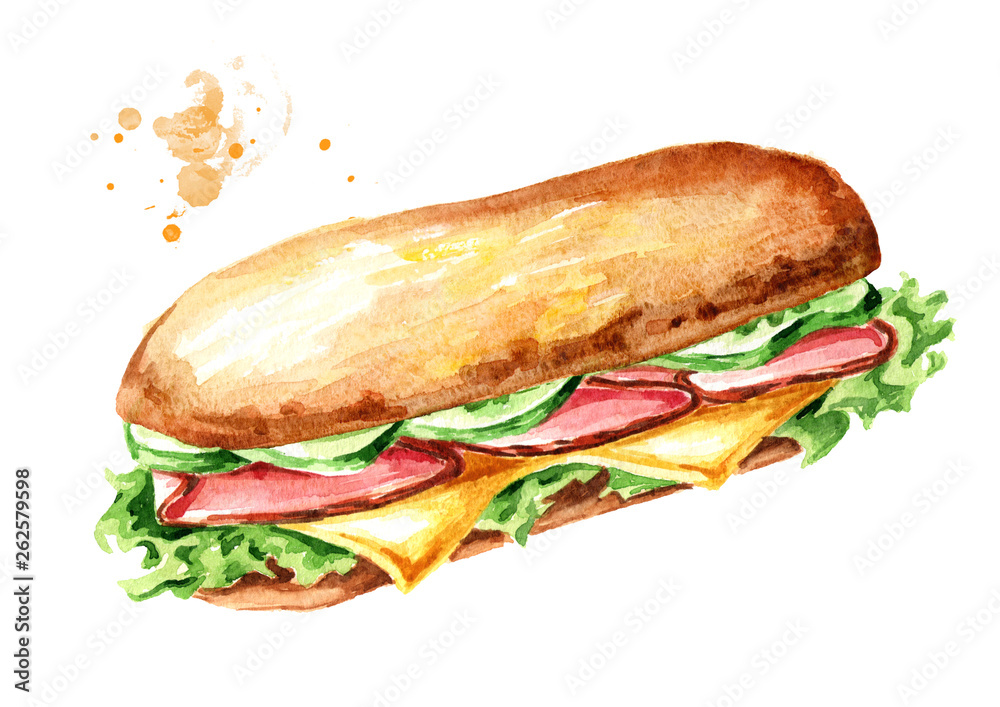 Sandwich with ham and vegetables. Watercolor hand drawn illustration ...