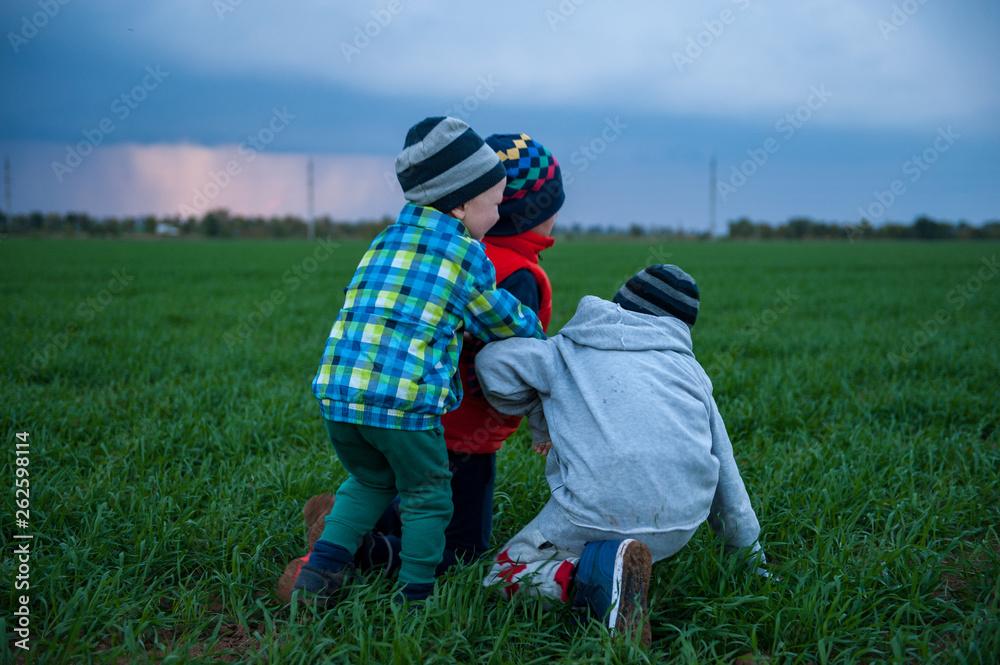happy children playing in field sown with winter wheat against backdrop ...