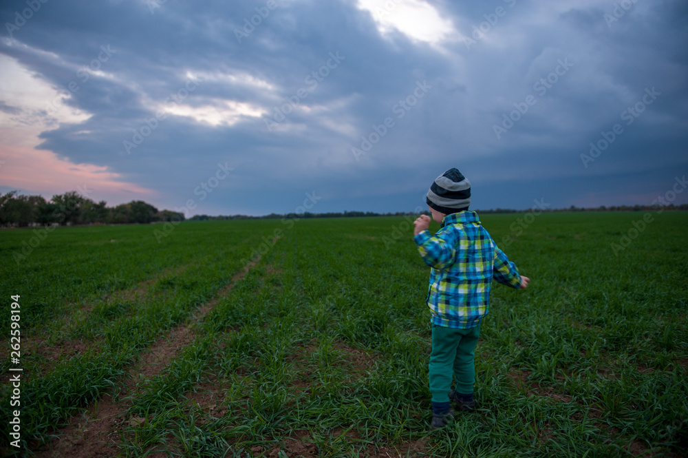 happy children playing in field sown with winter wheat against backdrop ...