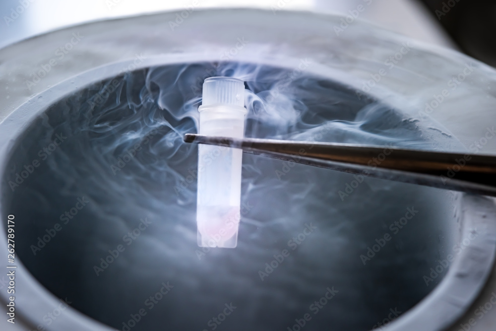 Cryopreservation of test tube on liquid nitrogen, a liquid nitrogen ...